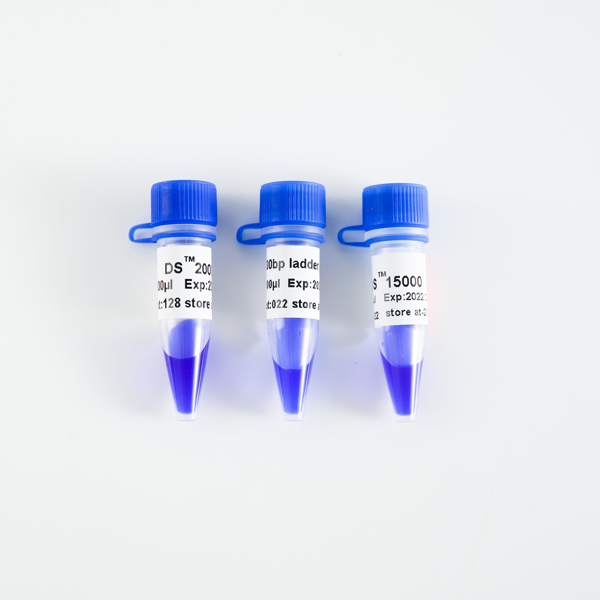 GDSBio Classic DNA Marker | Precise Molecular Weight Standards for Gel
