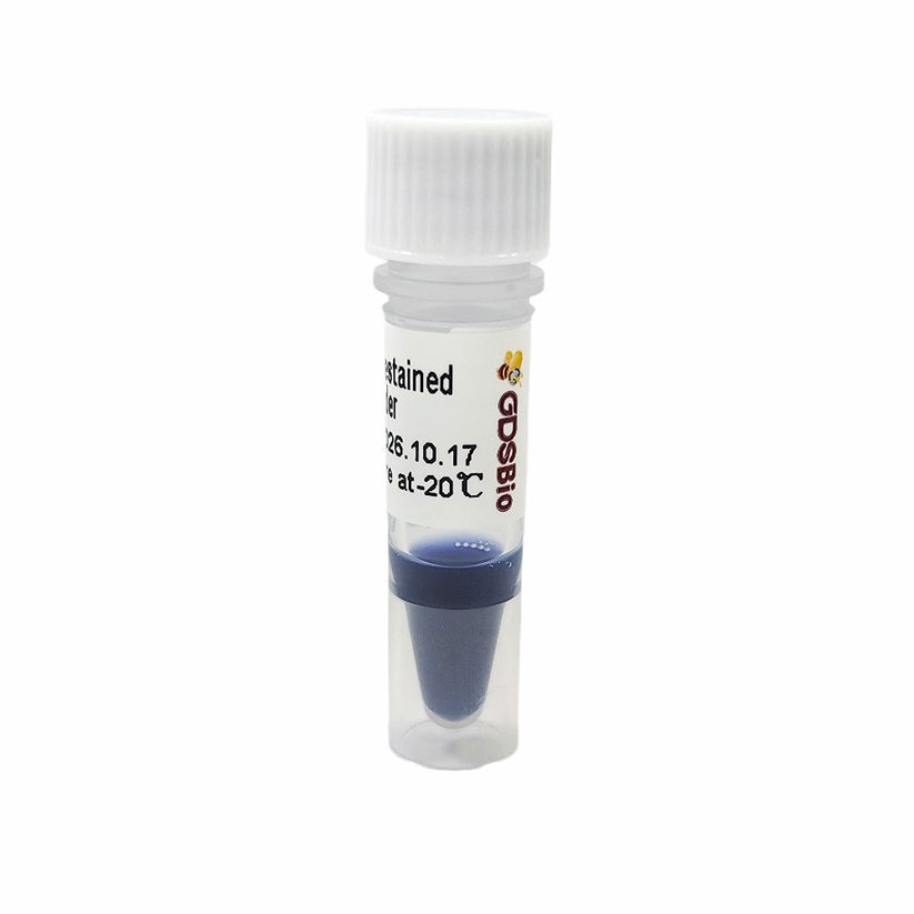 10-250KD SDS-PAGE Western Blot Marker Prestained Protein Ladder – GDSBio
