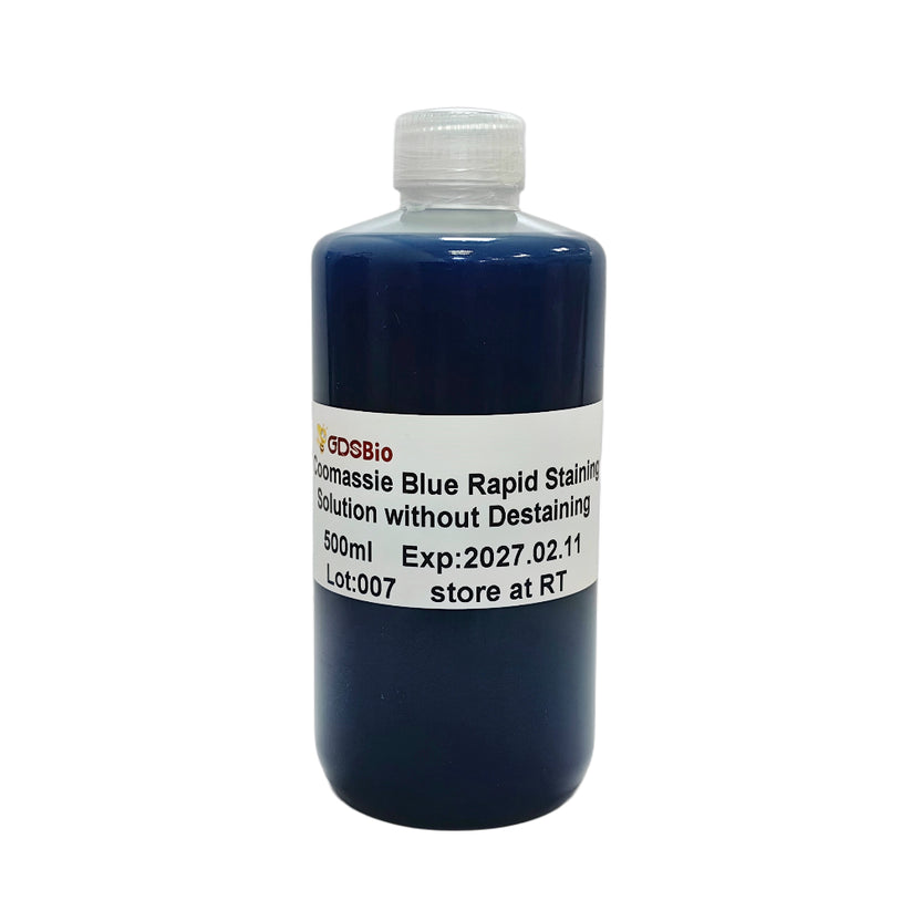 Coomassie Blue Rapid Staining Solution without Destaining – GDSBio