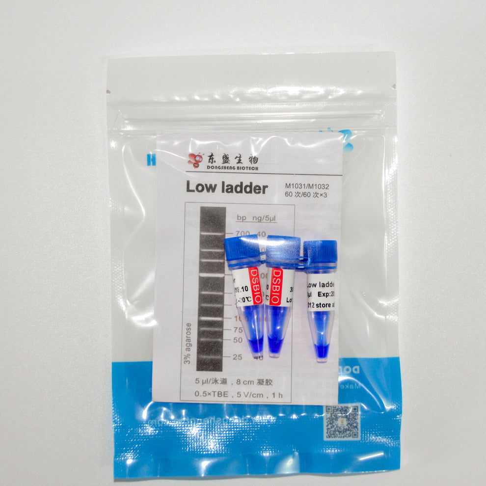 Low Ladder DNA Marker | dsDNA Size Determination (25-700 bp) – GDSBio