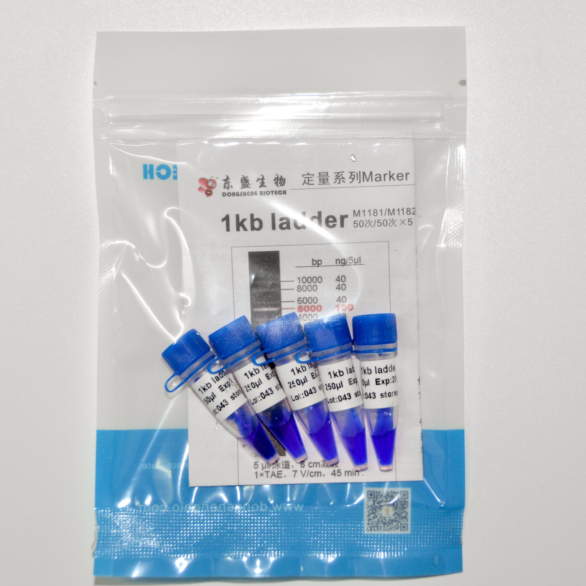 1kb DNA Ladder – GDSBio