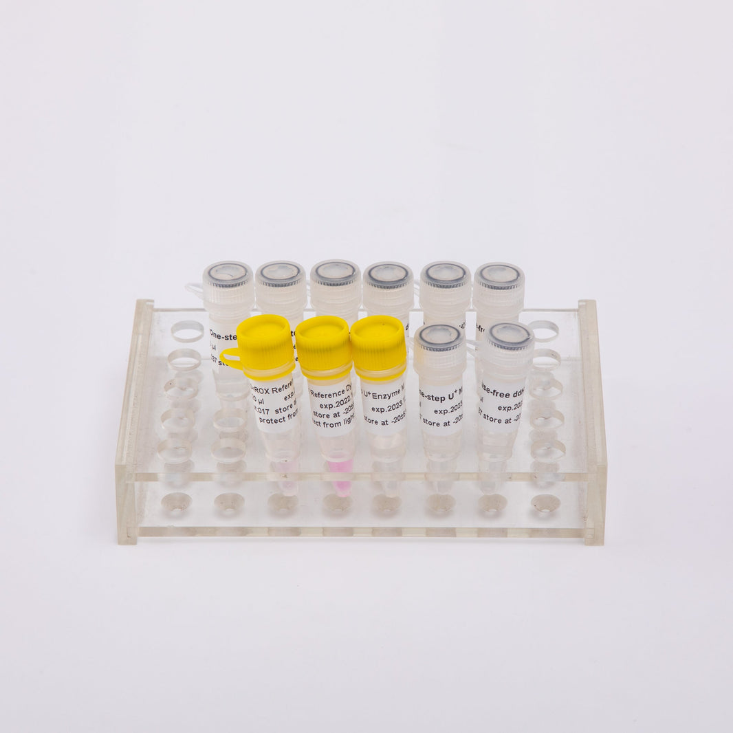 RT & RT-PCR/qPCR – GDSBio