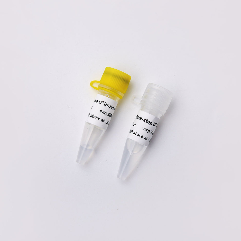 Power Green One-step RT-qPCR Kit – GDSBio