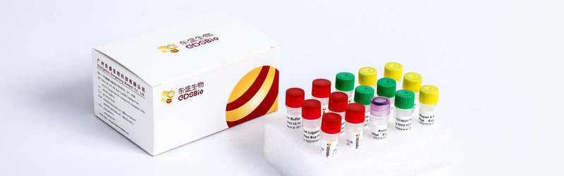 Pro Multiplex Probe qPCR Mix - 2X Master Mix with dUTP/UDG | GDSBio